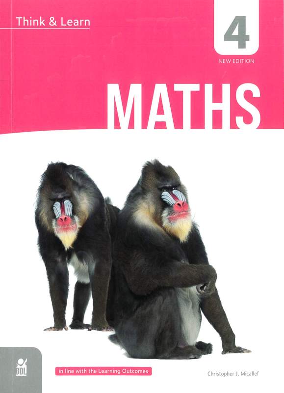 Mathematics Year 4