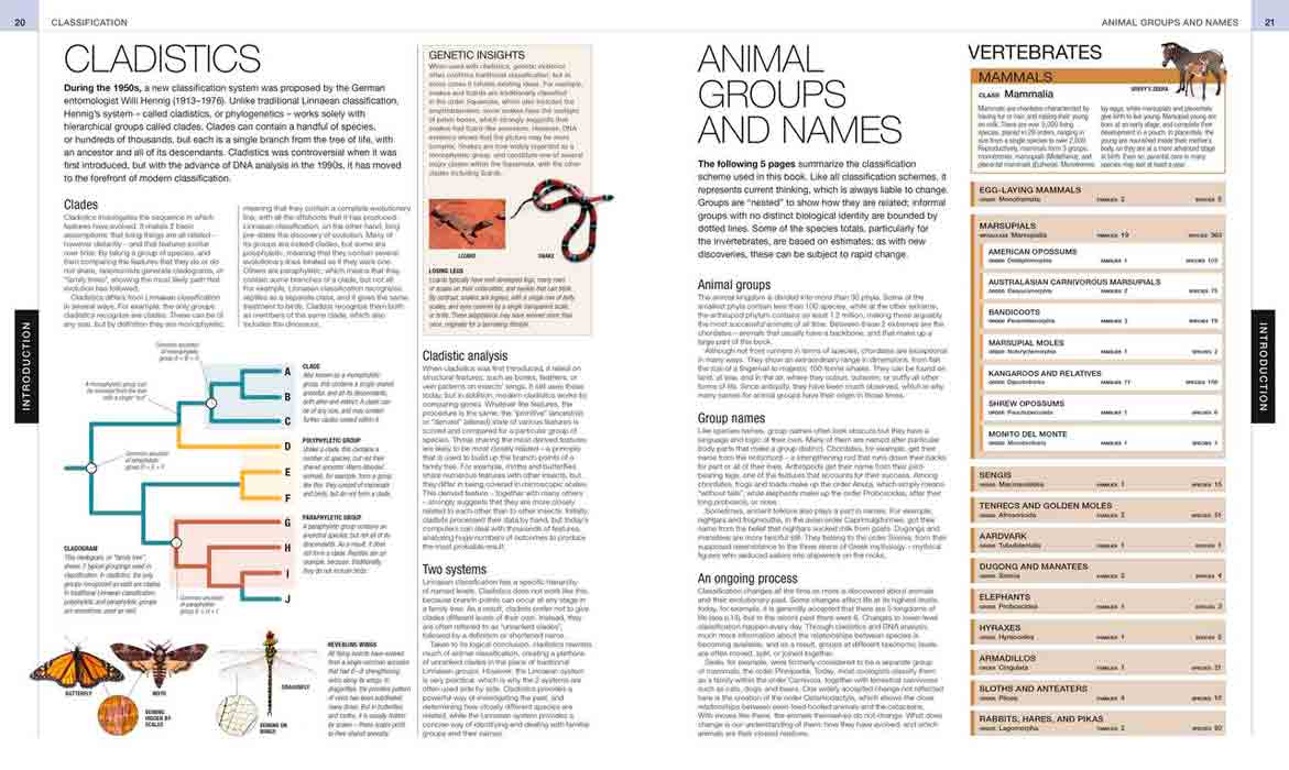 Animal - BDL Books