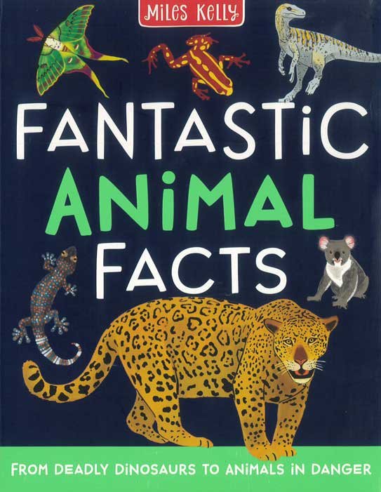Fantastic Animal Facts - BDL Books
