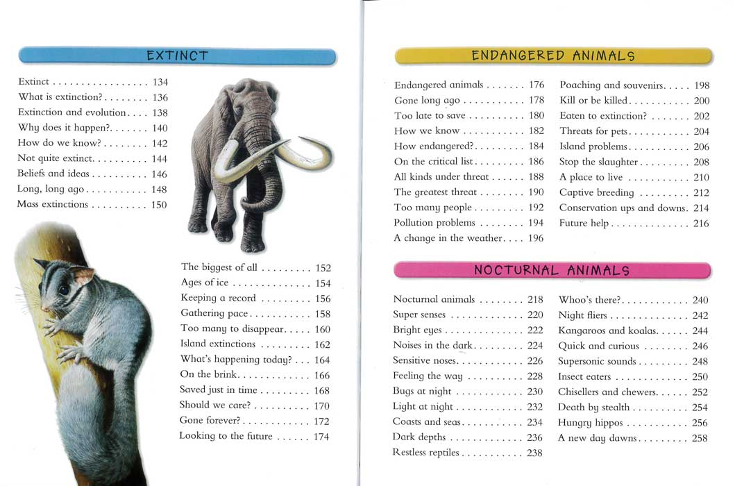 Fantastic Animal Facts - BDL Books