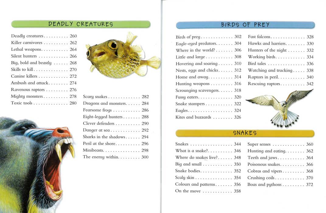 Fantastic Animal Facts - BDL Books