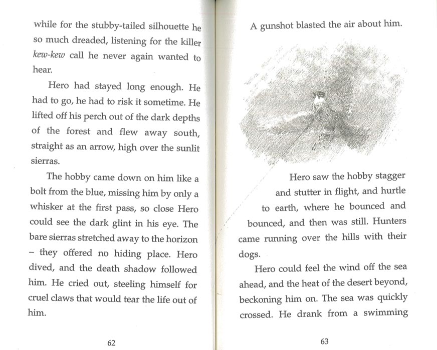 Dear Olly – BDL Books