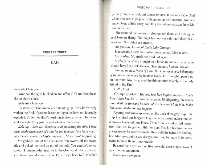 Minecraft: The End - BDL Books