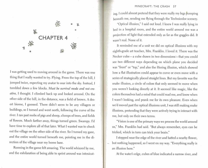 Minecraft: The Crash - BDL Books