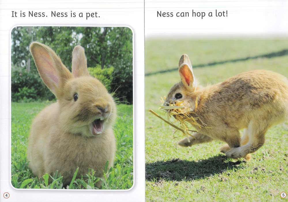 BookLife Readers: Pets NF Level 2 - BDL Books