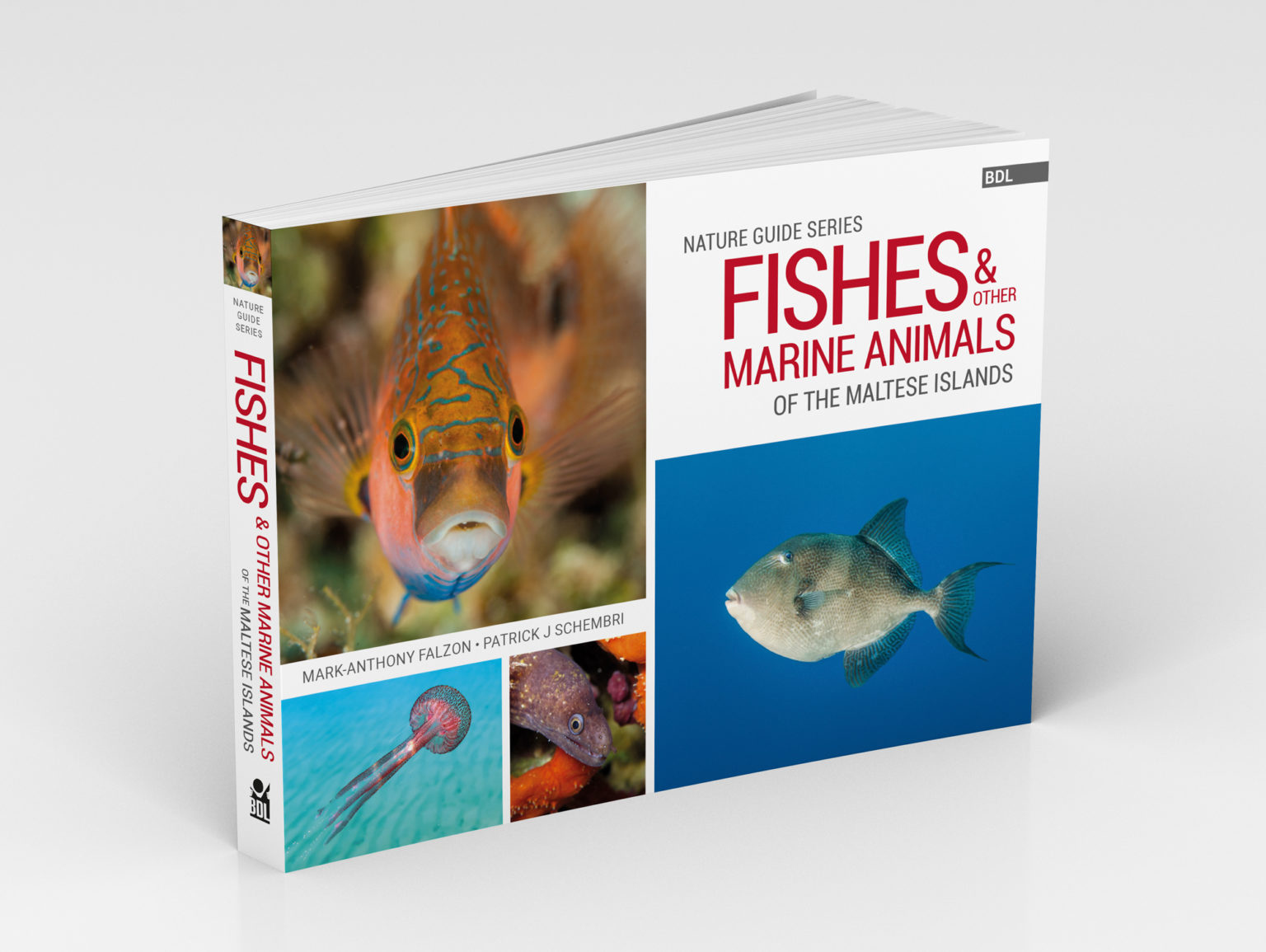 Fishes and Other Marine Animals - BDL Books