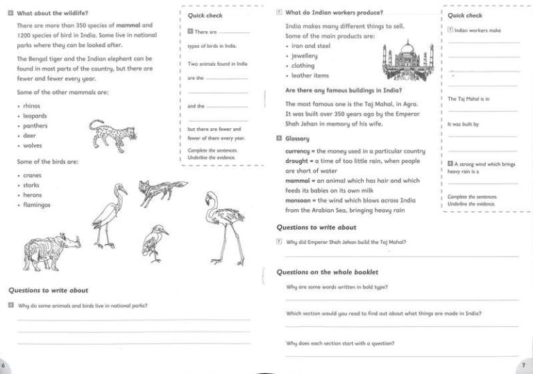 Read Write Inc. Comprehension Modules 11-15 - BDL Books