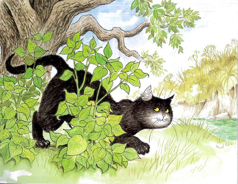 Hairy Maclary's Caterwaul Caper - BDL Books