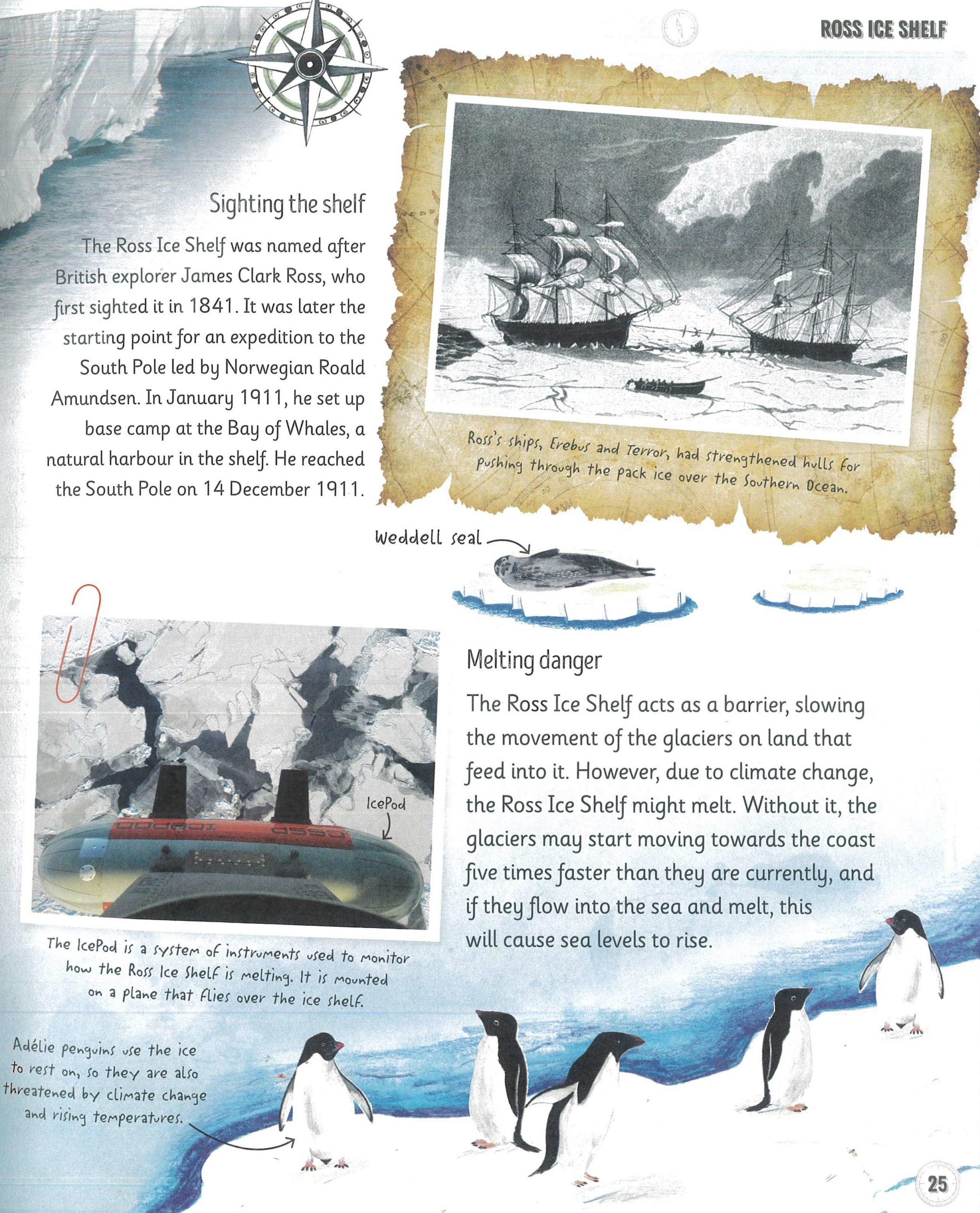 Amazing Earth - BDL Books