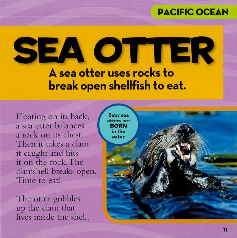Little Kids First Big Book of the Ocean - BDL Books