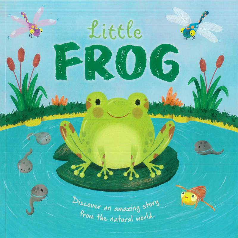 Little Frog - BDL Books