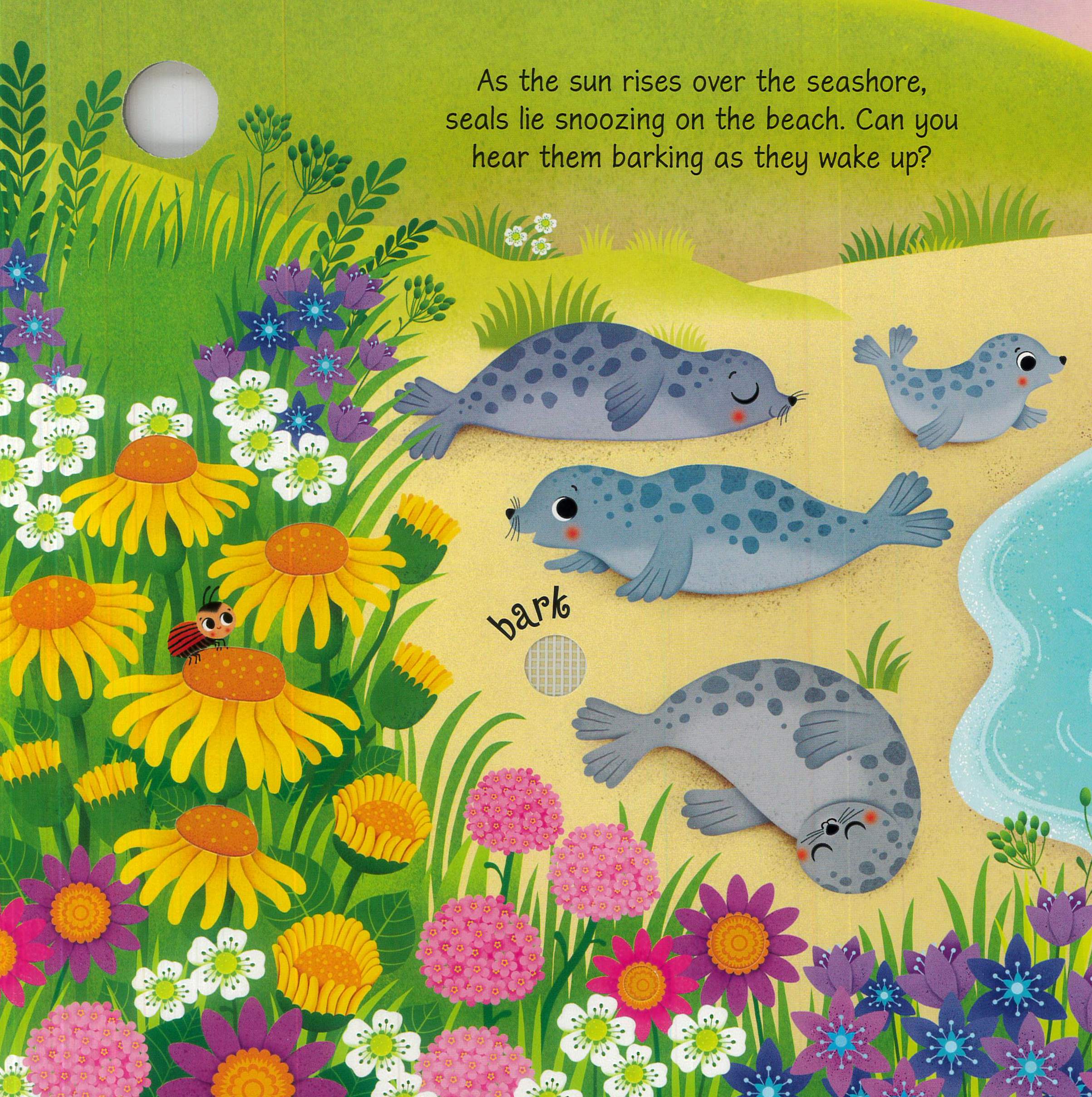 Seashore Sounds - Sound Book - BDL Books