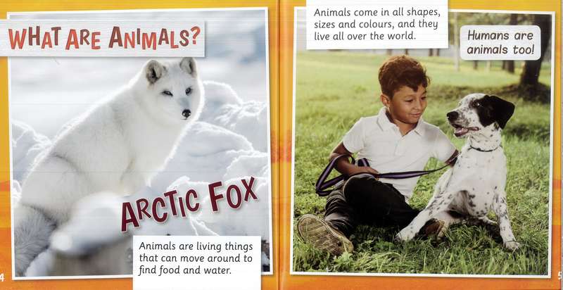 Step into STEM: Animals - BDL Books