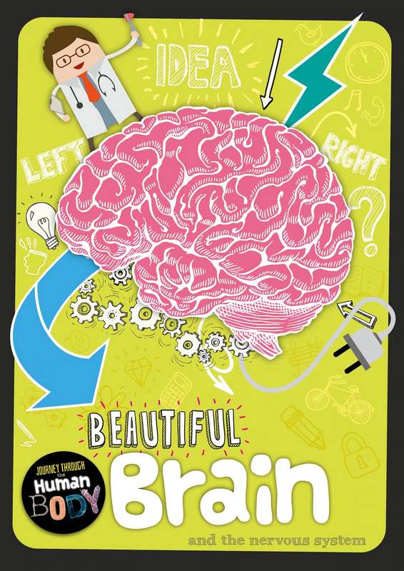 Beautiful Brain and the Nervous System – BDL Books