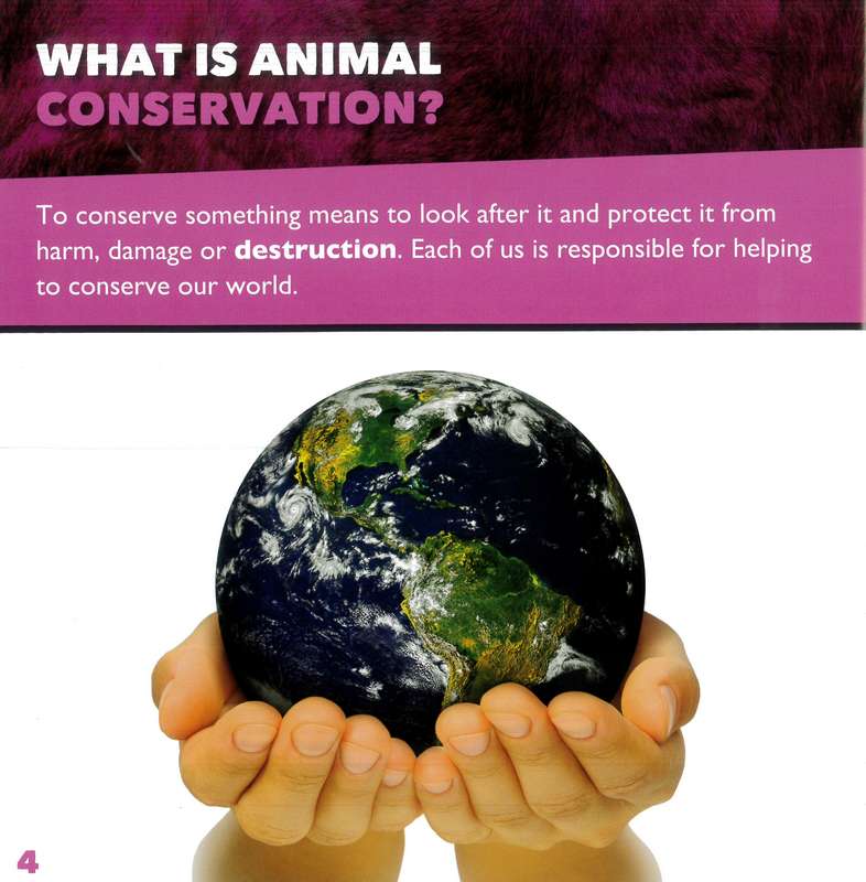 Protecting our Planet: Animal Conservation – BDL Books