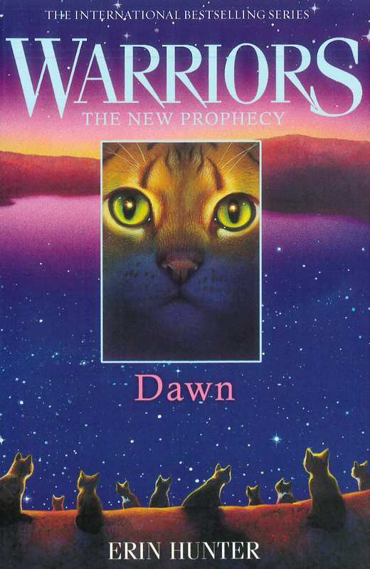 Warriors: Dawn - BDL Books