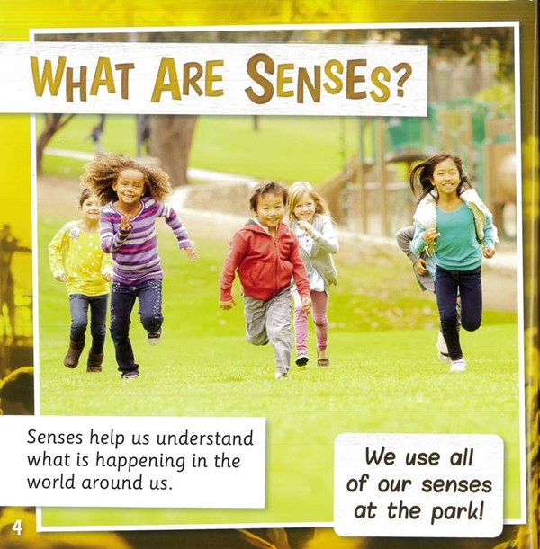 STEM Learning - BDL Books