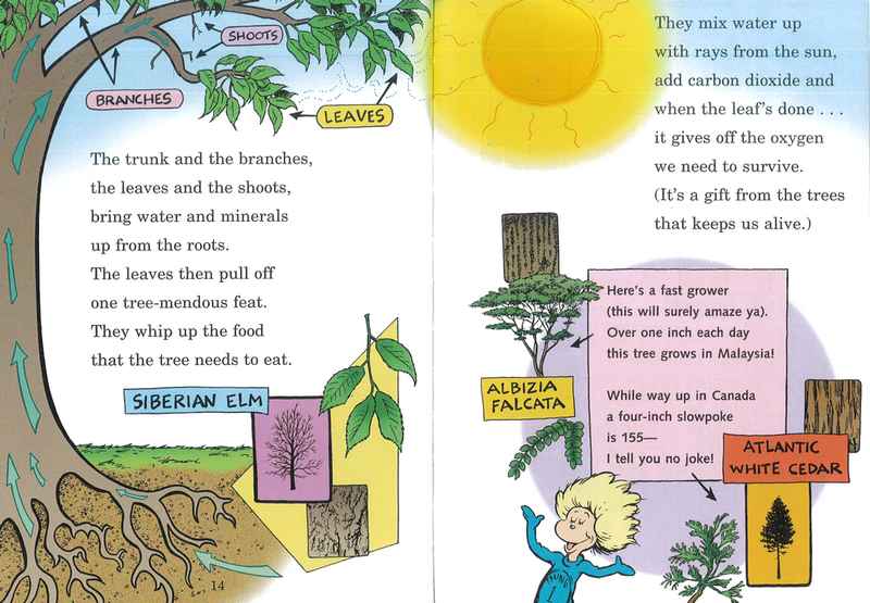 I Can Name 50 Trees Today! - BDL Books