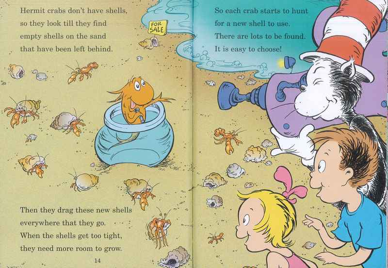 Clam-I-Am - BDL Books