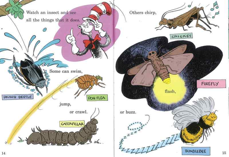 On Beyond Bugs! - BDL Books