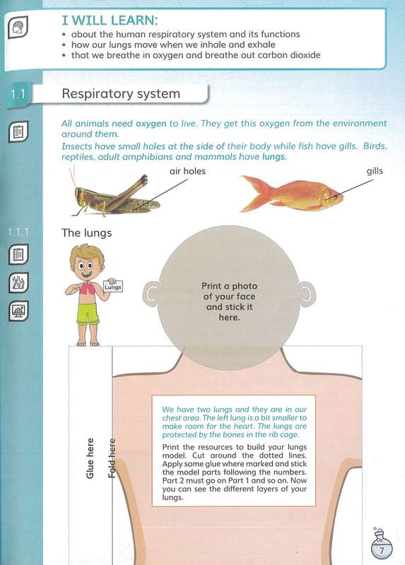Ready Study Science 6A - BDL Books