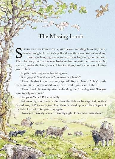 Peter Rabbit: Tales from the Countryside - BDL Books