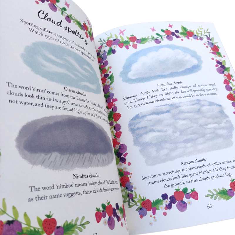 Peter Rabbit: Tales from the Countryside - BDL Books