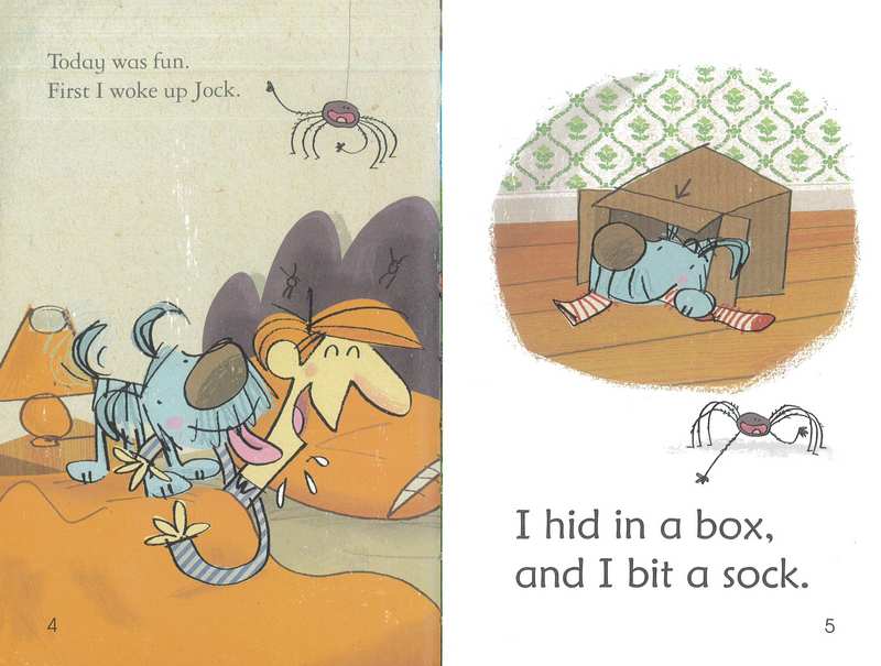 Dog Diary: Usborne Very First Reading - BDL Books