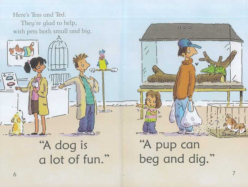 The Perfect Pet: Usborne Very First Reading - BDL Books