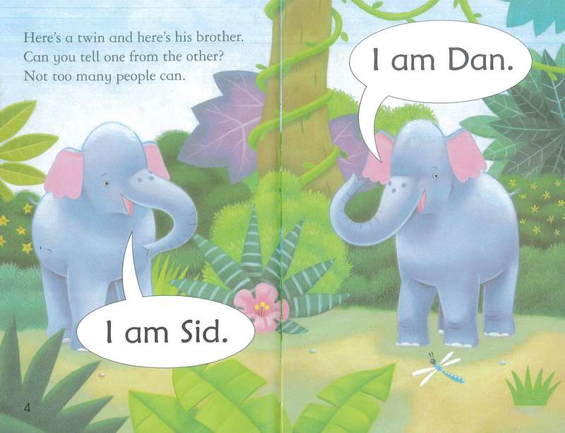 Double Trouble: Usborne Very First Reading - BDL Books