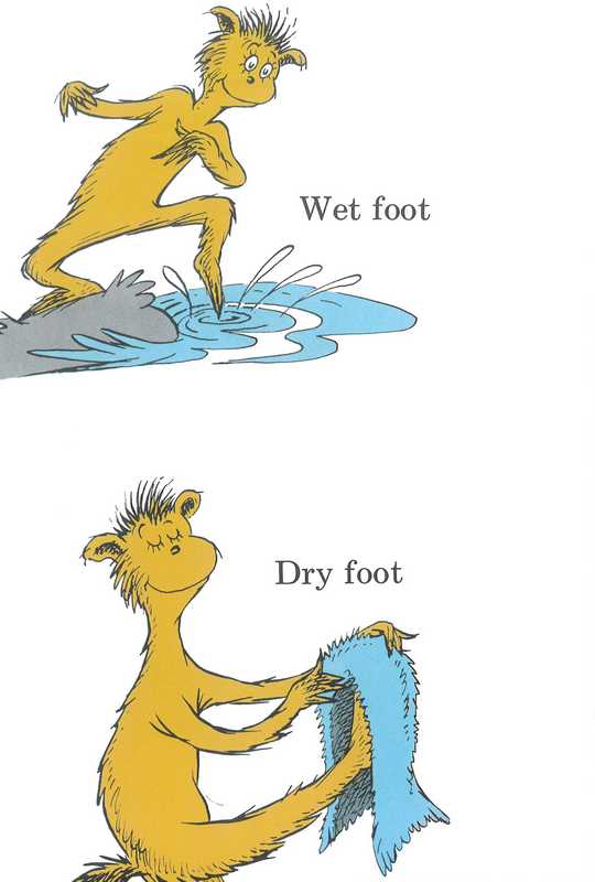 The Foot Book - BDL Books