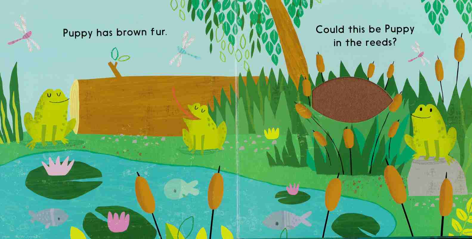 Let's Find The Puppy - BDL Books