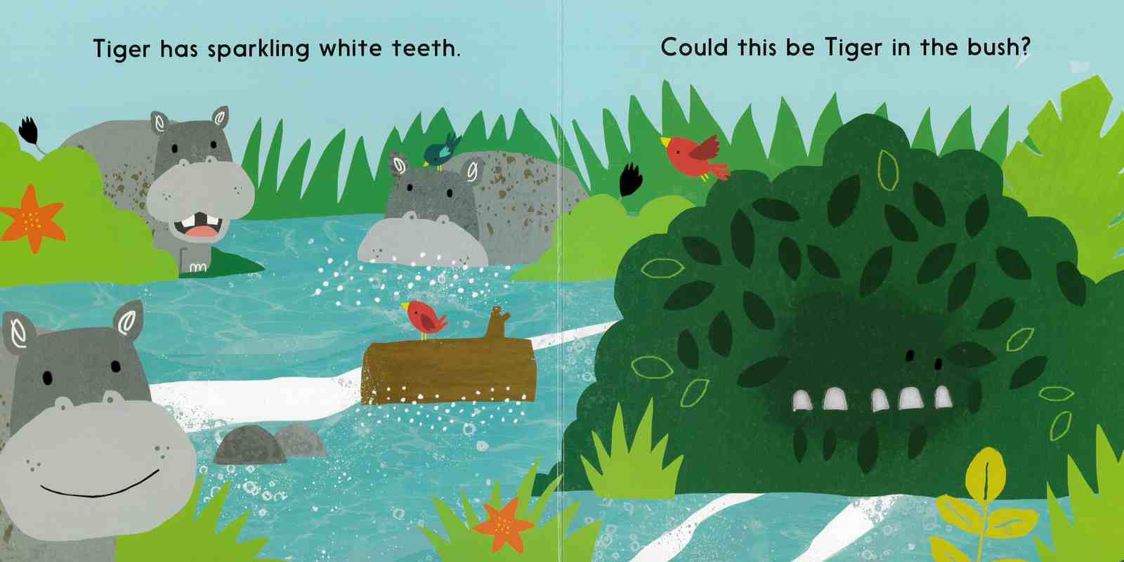 Let's Find The Tiger - BDL Books