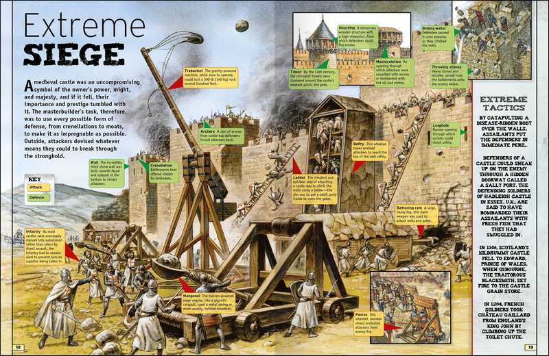 The History Book - BDL Books