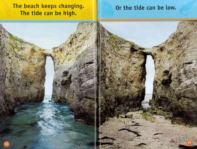 At the Beach – BDL Books