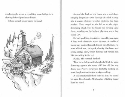 Flember: The Secret Book - BDL Books