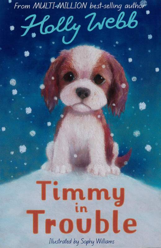 Timmy in Trouble - BDL Books