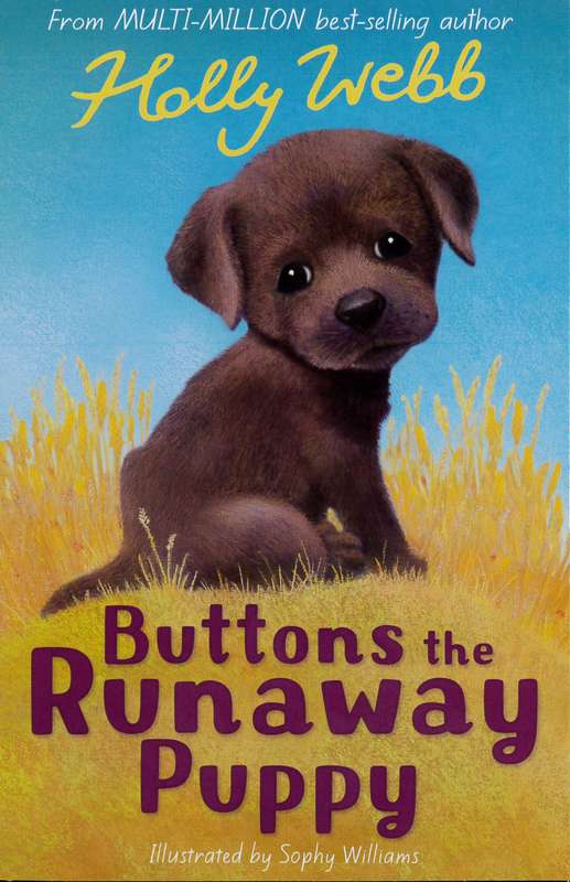 Buttons the Runaway Puppy - BDL Books