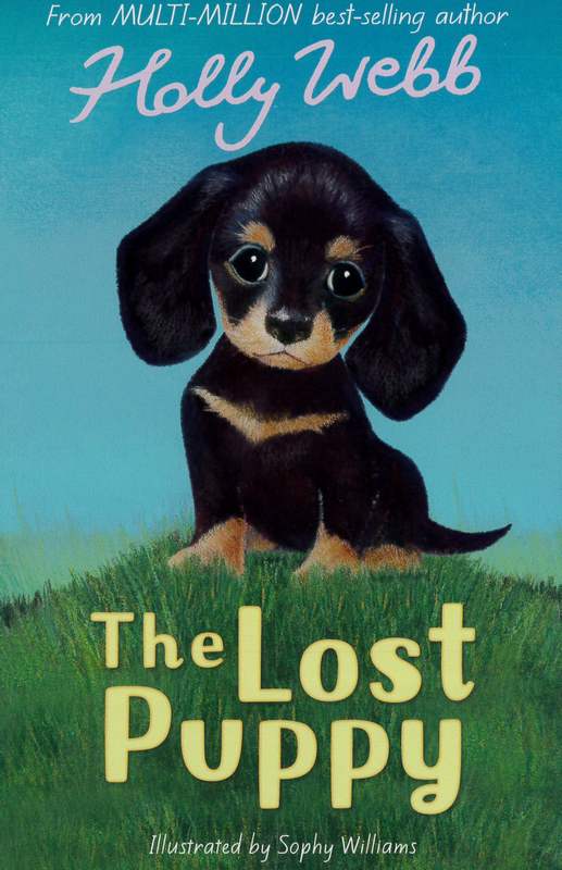 The Lost Puppy - BDL Books