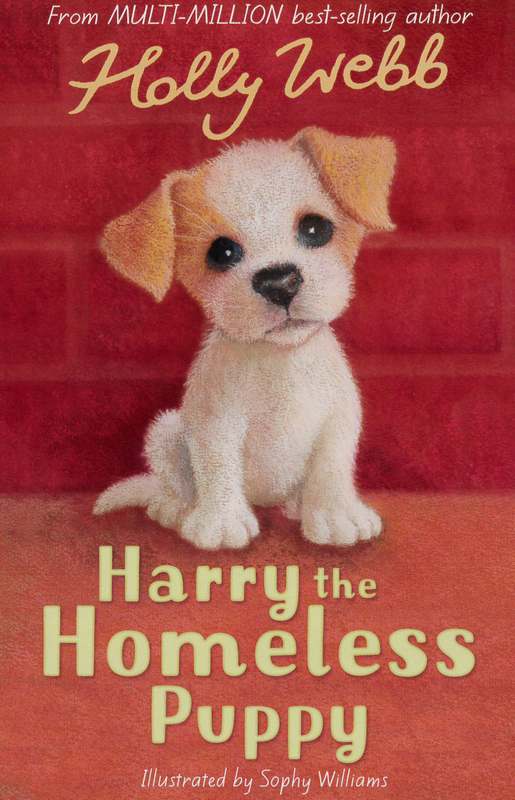 Harry the Homeless Puppy - BDL Books