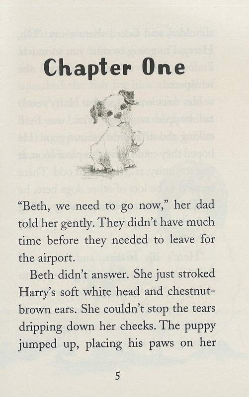 Harry the Homeless Puppy - BDL Books
