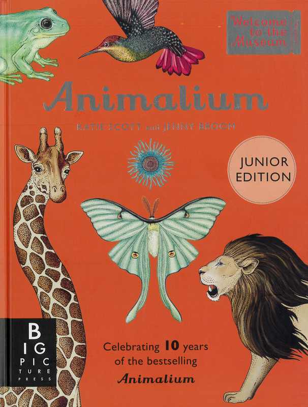 Animalium - BDL Books