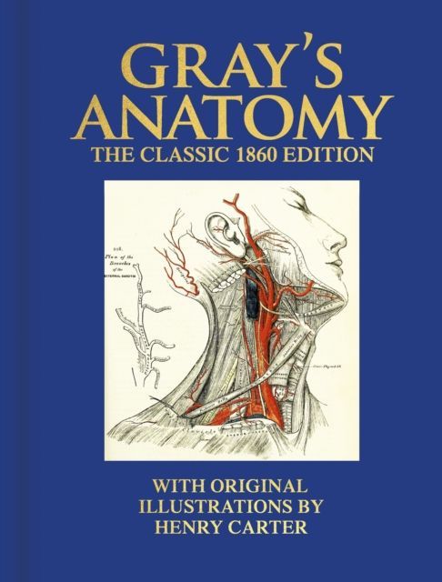 Gray's Anatomy - BDL Books