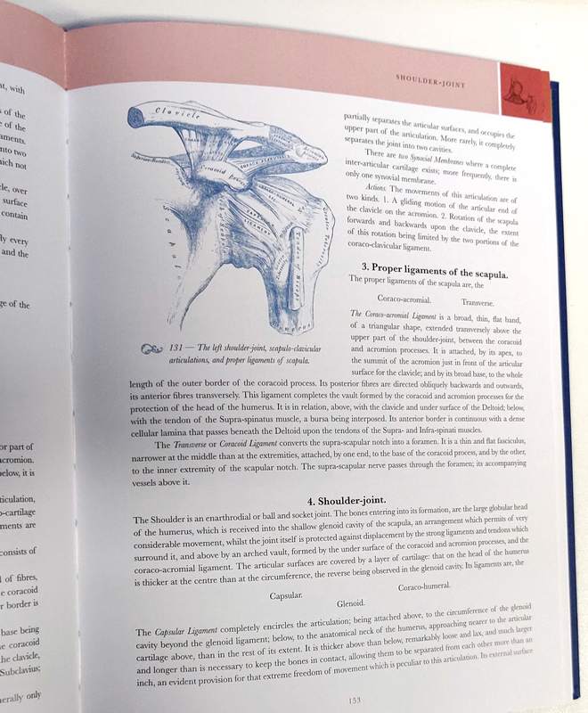 Gray's Anatomy - BDL Books