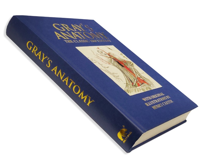 Gray's Anatomy - BDL Books