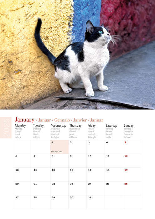 Malta Cats 2025 Calendar A4 - BDL Books