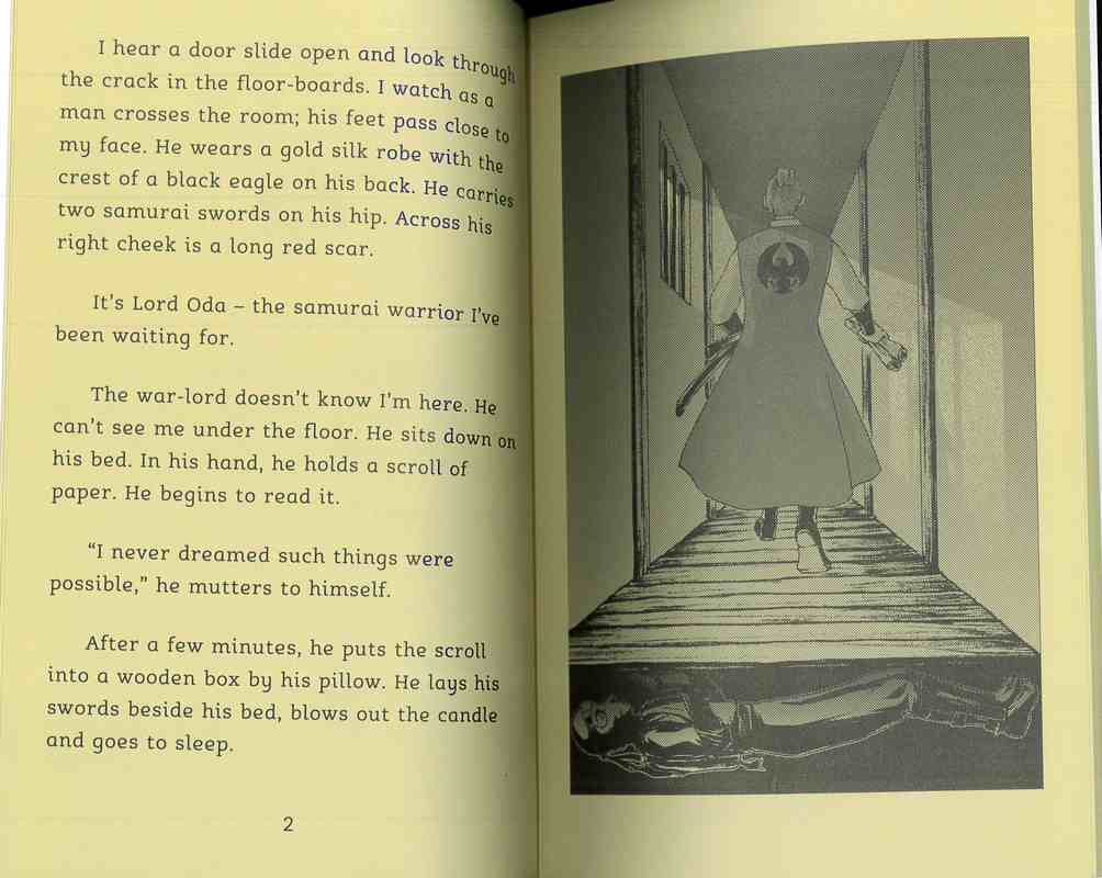 Ninja First Mission - BDL Books