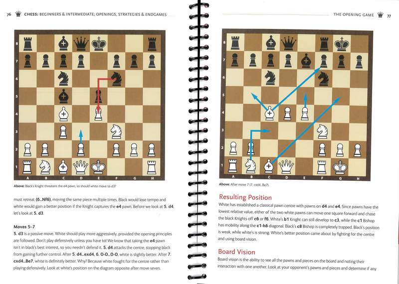 Chess: Openings, Strategies and Endgames - BDL Books