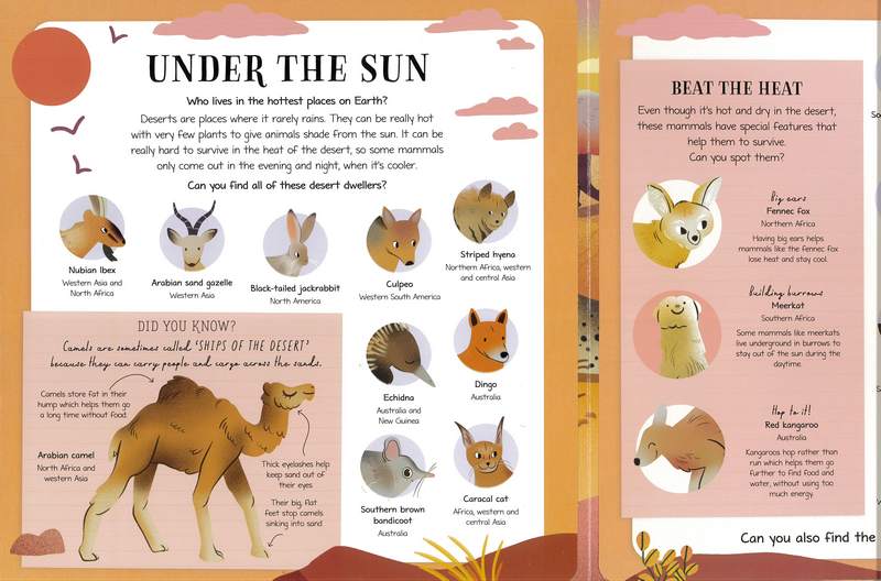 Mammals Around the World - BDL Books