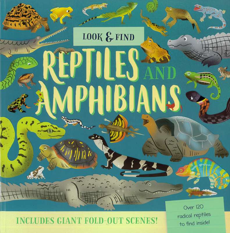 Look and Find: Reptiles and Amphibians - BDL Books